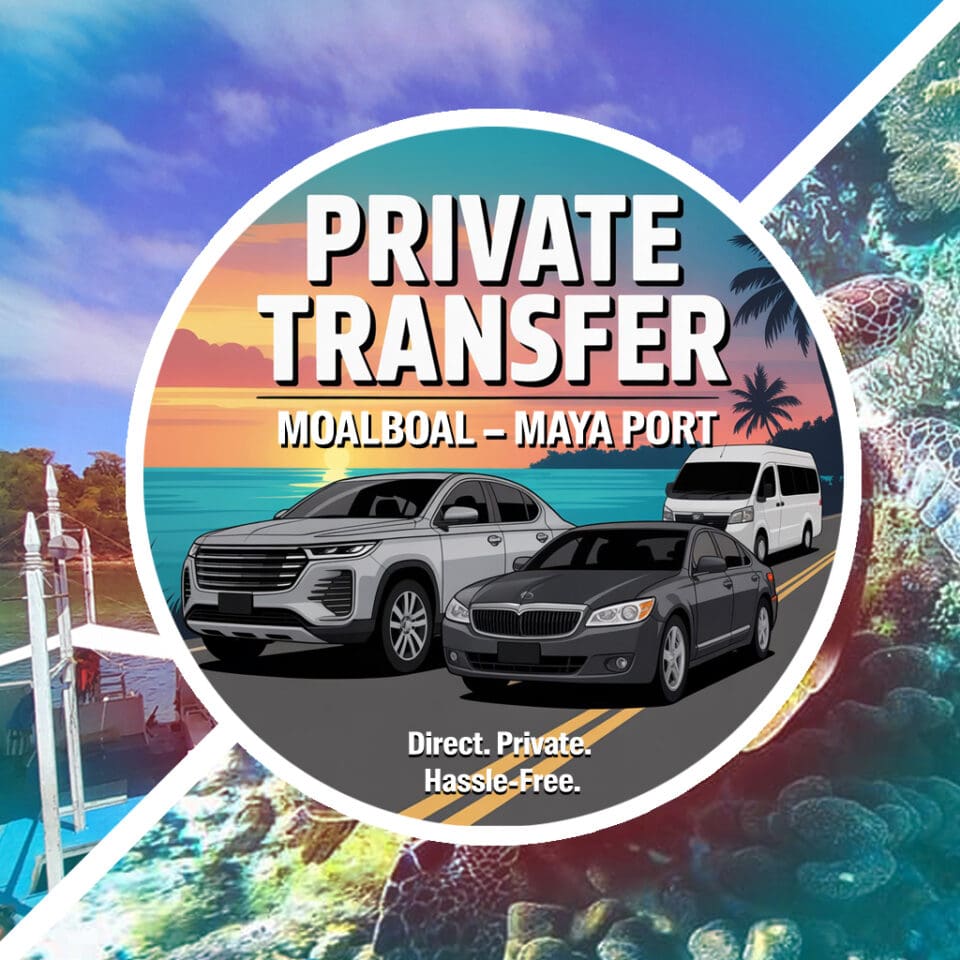 Effortless Private Transfer: A Comfortable Journey from Moalboal to ...