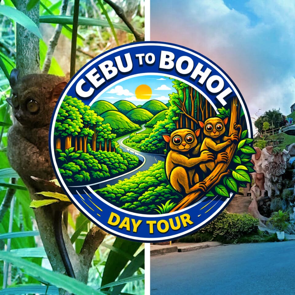 Bohol Day Tour from Cebu | Sightseeing with Guide, Lunch, Entrance Fees ...